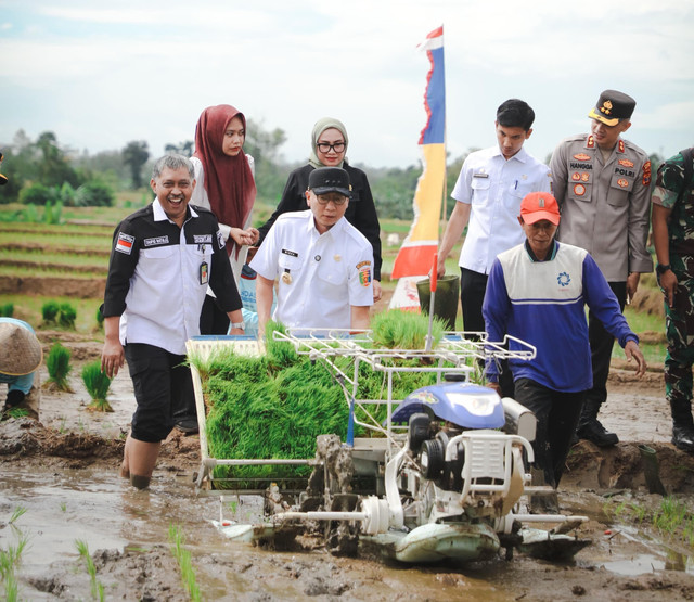 Pemprov Lampung Targetkan Produksi 3,5 Juta Ton Gabah pada Musim Tanam ...