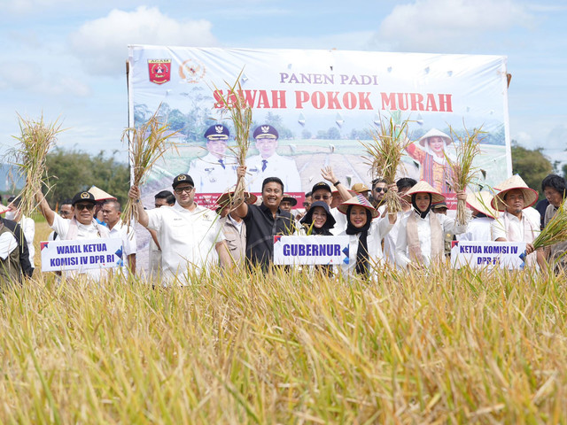 Ketua Komisi IV DPR Dorong Petani Nasional Budidayakan Padi Sawah Pokok Murah | kumparan.com