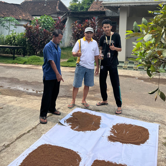 Mahasiswa KKN UNDIP Kenalkan ”Atraktan” untuk Tingkatkan Nafsu Makan ...
