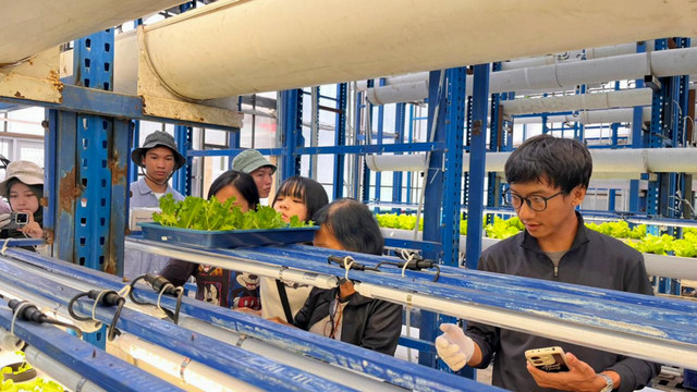 Menjulang 18 Meter di Tengah Jakarta: Pertanian Vertikal Tertinggi di ...