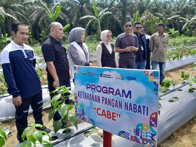 Desa Bukit Makmur Raih Desa Terbaik Nasional Program BRILiaN 2025 Batch ...