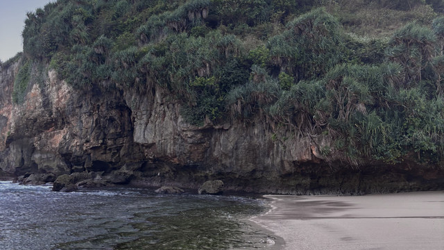 Kelomang di Hamparan Hidden Gem Pasir Putih Gunung Kidul | kumparan.com