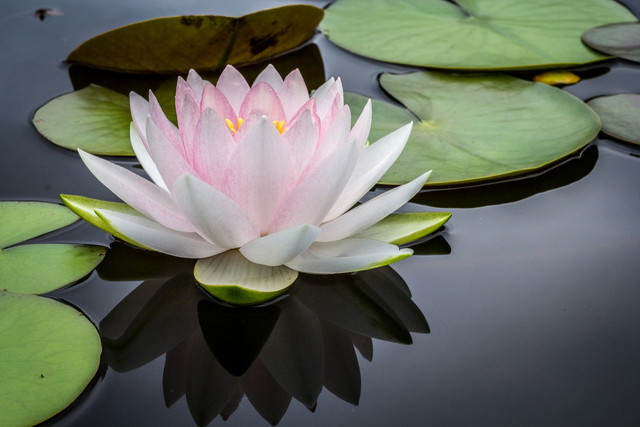 Mindful Healing: Pengertian dan Cara Praktis Melakukannya | kumparan.com