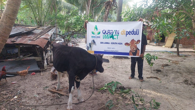 Berkah Daging Qurban di Tengah Badai Krisis Sri Lanka | kumparan.com