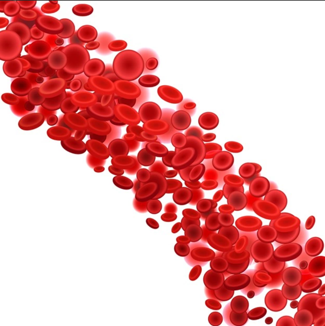 Nama Lain Sel Darah Merah dan Fungsinya dalam Tubuh Manusia | kumparan.com