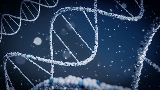 Apa Itu DNA, Molekul yang Menjadi Cetak Biru Makhluk Hidup? | kumparan.com