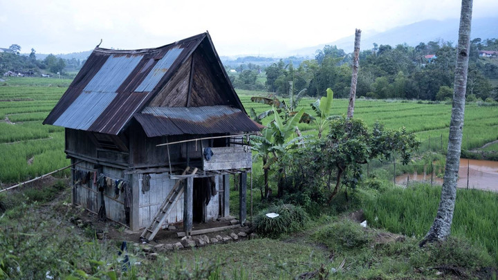 Foto: Budaya Tunggu Tubang, Peninggalan Sejarah Suku Semende di Sumsel ...
