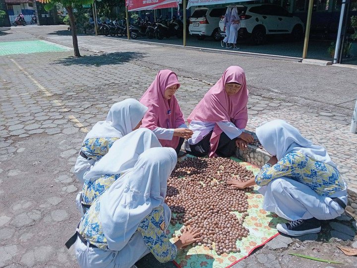 Potensi Tersembunyi Biji Karet Kaloco Sebagai Peluang Usaha | kumparan.com
