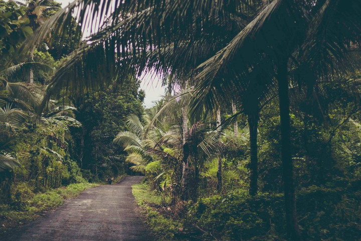 Prosesi Upacara Adat Mappacci, Tradisi Suku Bugis di Sulawesi Selatan ...