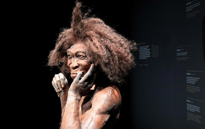 Jika Teori Evolusi Darwin soal Manusia Benar, Kenapa Sekarang Masih Ada ...