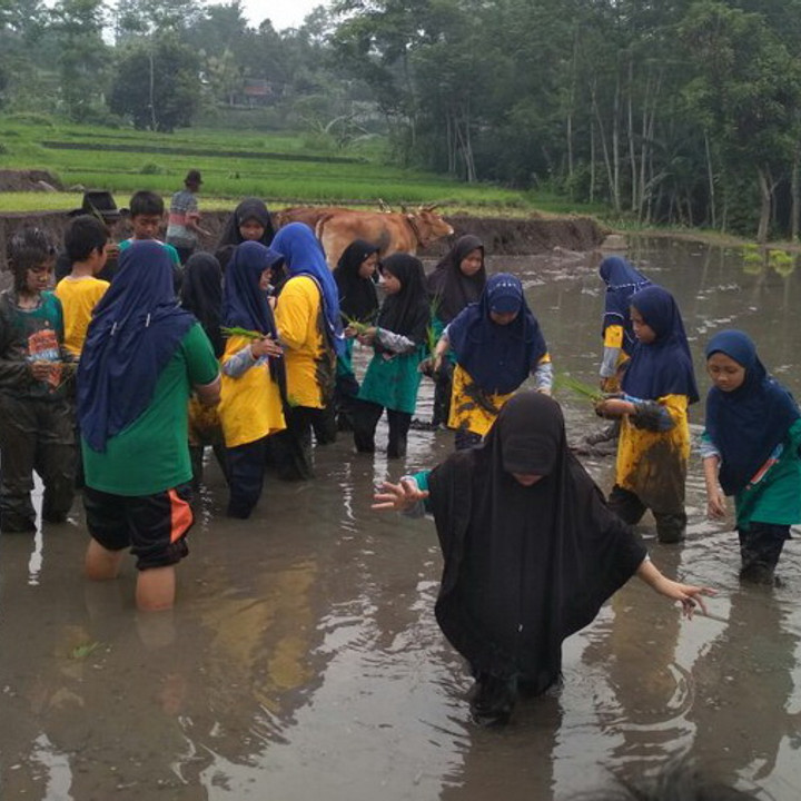 Out Of The Box, SD Mudabo Adakan Fieldtrip Ke PPLH Mojokerto | kumparan.com