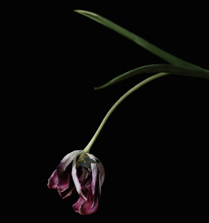 Cerpen: Seperti Deja Vu | kumparan.com