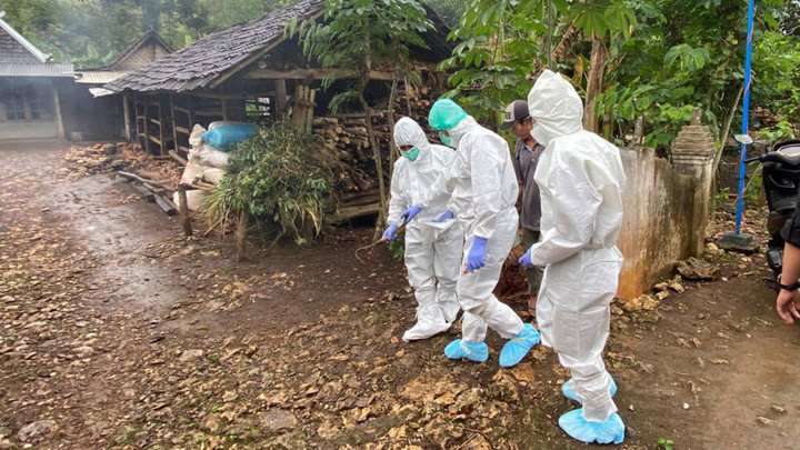 Yang Sudah Diketahui dari Warga Gunungkidul Makan Bangkai Sapi Antraks ...