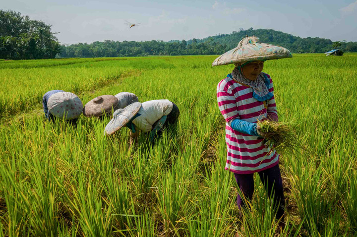 Mengenal Konsep Aglomerasi dan Contoh Penerapannya di Indonesia ...
