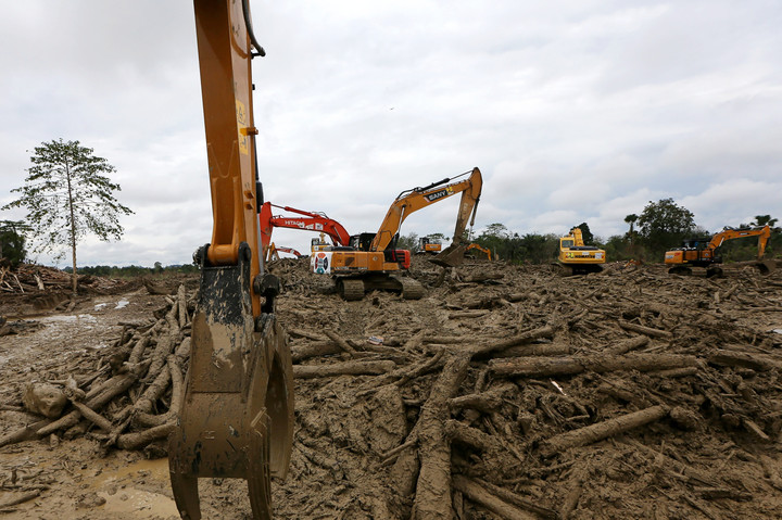 Bupati Aceh Tamiang Minta Fatwa Kemenhut soal Kayu Gelondongan: Mau ...