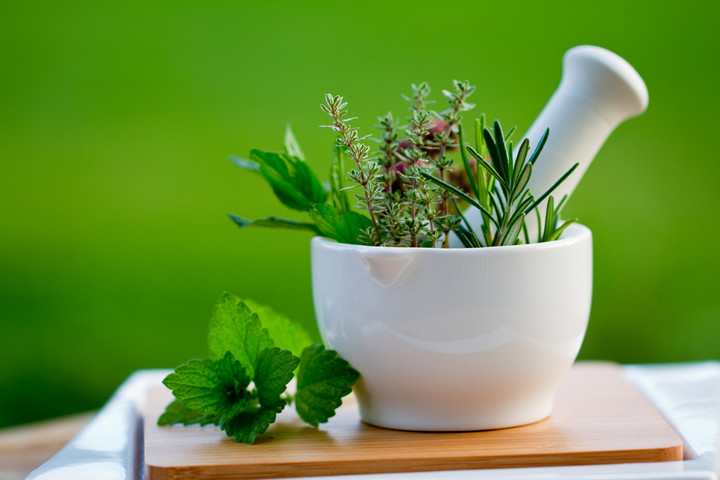 15 Contoh Tanaman Obat Herbal yang Populer dan Manfaatnya | kumparan.com