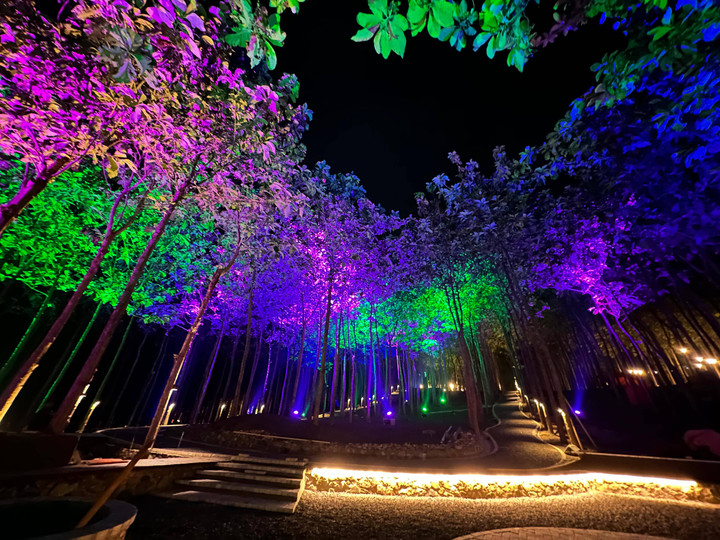 magic forest artinya