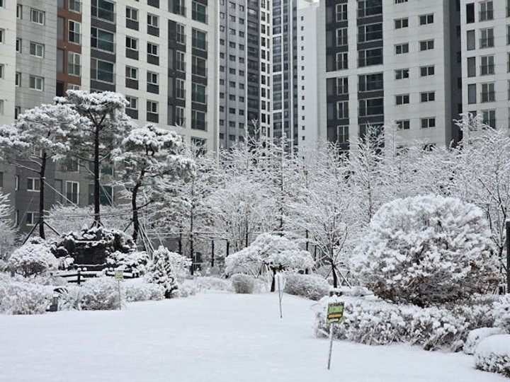 Musim Salju di Korea Bulan Apa? Berikut Perkiraan dan Destinasi ...