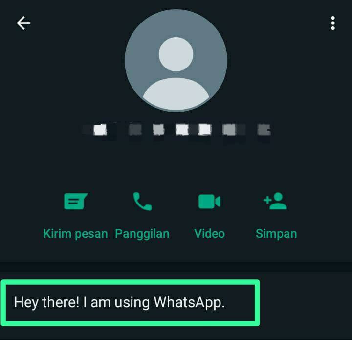 Hey There I Am Using WhatsApp: Arti dan Cara Mengubahnya | kumparan.com