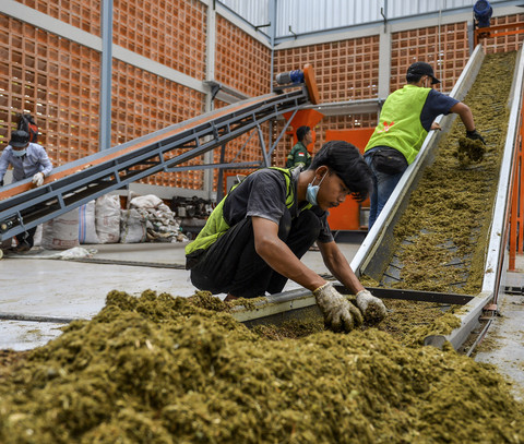 Green Initiative: Berita Tentang Green Initiative, Ekonomi Hijau