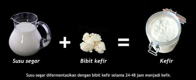 Masker Kefir, Merawat dan Menutrisi Kulit Kamu | kumparan.com