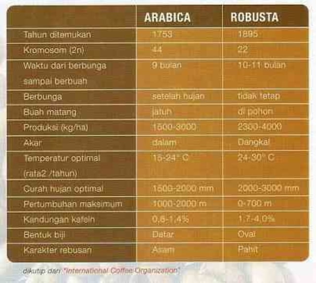 perbedaan kopi arabika dan robusta | kumparan.com