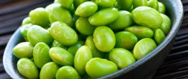 Diversifikasi produk, PTPN XI kembangkan pupuk organik dan edamame ...