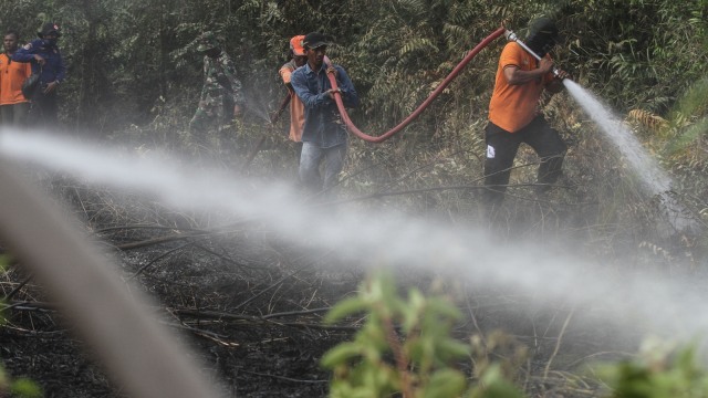 Berjibaku dengan Api: Tidur di Hutan dan Melawan Suhu Panas | kumparan.com