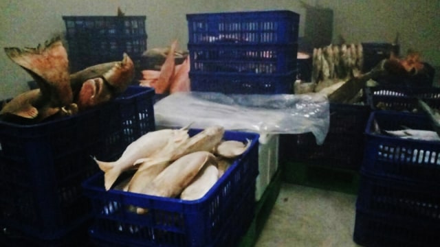 KKP Gandeng BUMN Kelola Cold Storage Perikanan | kumparan.com
