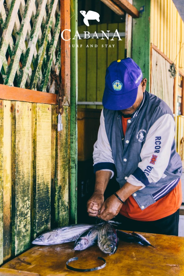 Potensi Perikanan di Pesisir Barat, Selatan Sumatera Meningkat Pesat ... Potensi Perikanan di Pesisir Barat, Selatan Sumatera Meningkat Pesat ...