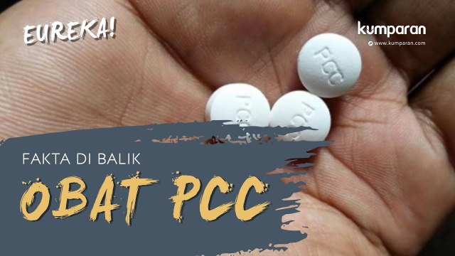 Fakta di Balik PCC | kumparan.com