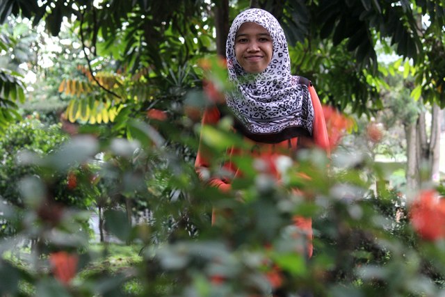 Tumbuhan-tumbuhan Cantik Penghias Hutan Batang Toru | kumparan.com