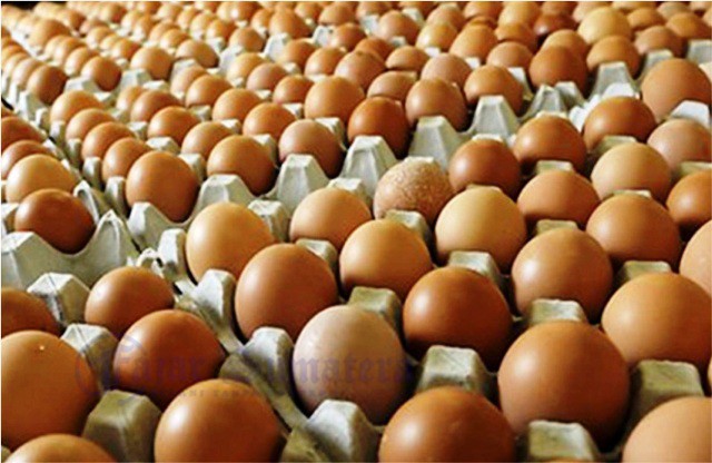 Harga Telur di Pasar Tradisional Tulangbawang Barat Merangkak Naik ...