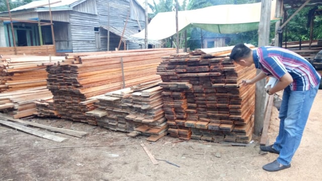 Polisi Sita Kayu Ilegal yang Dijarah dari Hutan di Kalimantan Barat | kumparan.com