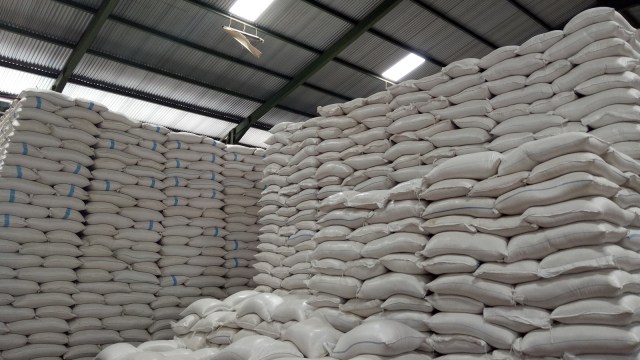 Darmin: Butuh 25 Kapal Angkut 500.000 Ton Beras yang Diimpor Bulog ...