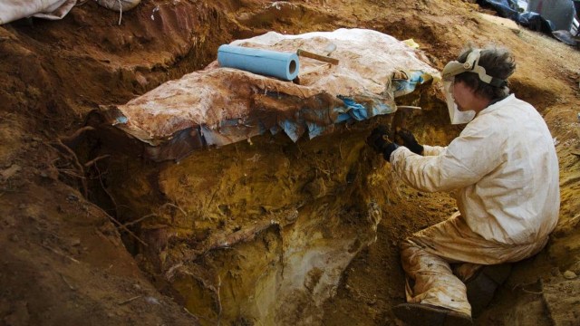 Fosil Jejak Kaki Dinosaurus Ditemukan di Kantor NASA | kumparan.com