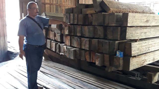 Polda Kalbar Gerebek 3 Gudang Kayu Ilegal, 1.700 Batang Diamankan | kumparan.com