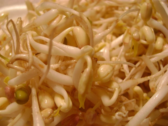 5 Tips Mengolah Tauge Tanpa Menghilangkan Nutrisinya | kumparan.com