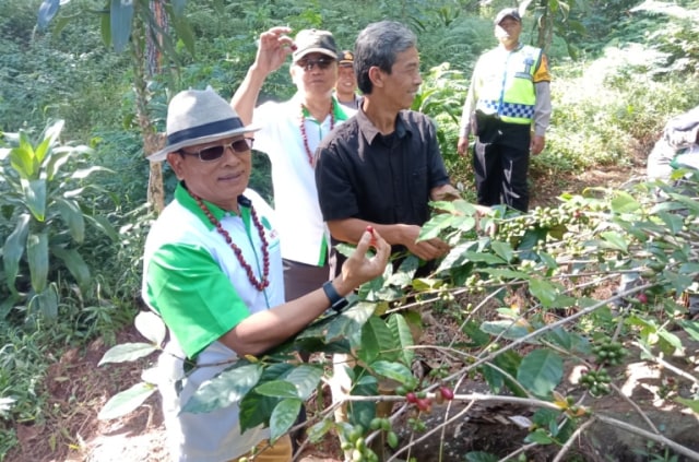 Ketua HKTI Moeldoko Panen Kopi Gunung Puntang | kumparan.com Ketua HKTI Moeldoko Panen Kopi Gunung Puntang | kumparan.com