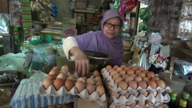 Harga Telur Ayam Broiler di Bojonegoro Melambung | kumparan.com