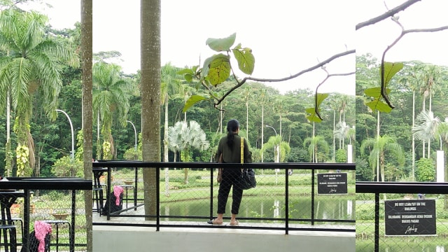 Tempat Kumpul Dengan Pemandangan Danau Ciamik di Sentul | kumparan.com