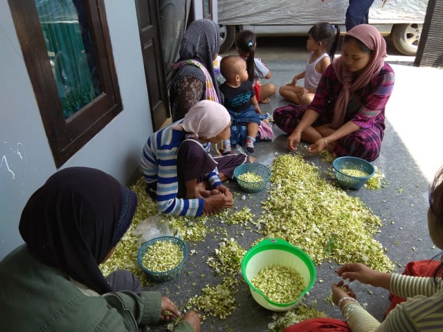 Kementerian Pertanian Juga Berupaya Ekspor Melati | kumparan.com