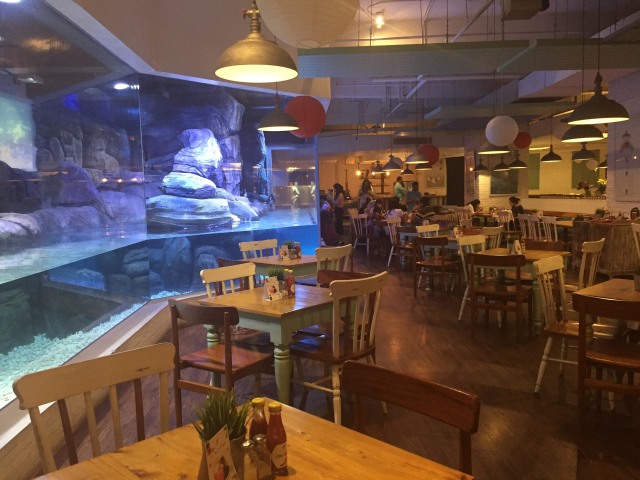 Menyantap Poke Bowl Ditemani Penguin di Pingoo Restaurant | kumparan.com