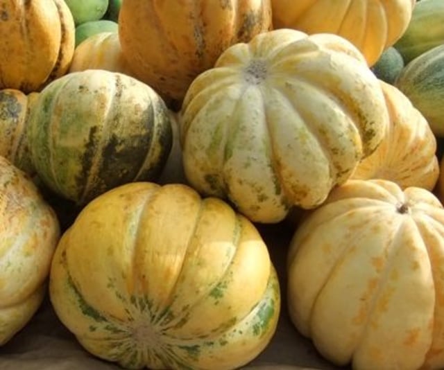 Tips Memilih Buah Blewah | kumparan.com