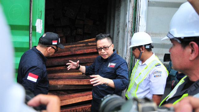 PT SPIL Kaget 40 Kontainernya Berisi Kayu Ilegal dari Papua | kumparan.com