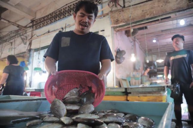 Ikan Dingkis Bisa Rp 500 Ribu Per Kilo Saat Imlek | kumparan.com