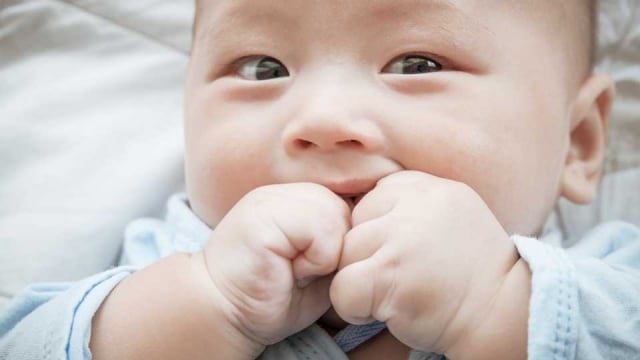 Bohn Nodules pada Gusi Bayi | kumparan.com