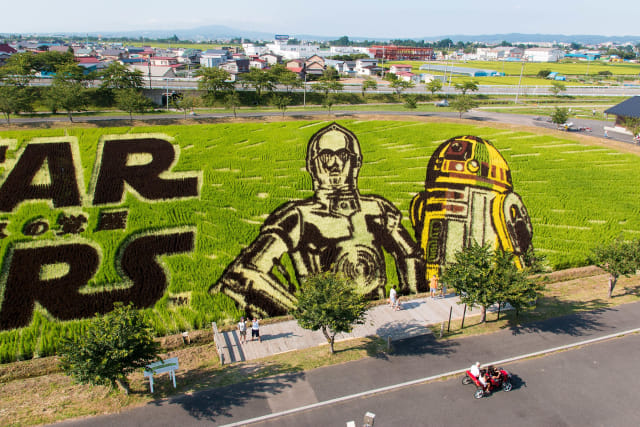 Mengenal Tanbo Art, Uniknya Seni Melukis Sawah dari Jepang | kumparan.com