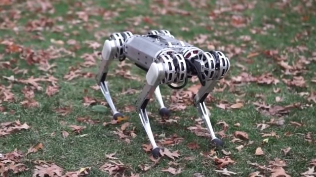 Aksi Robot Cheetah yang Bisa Salto Backflip | kumparan.com