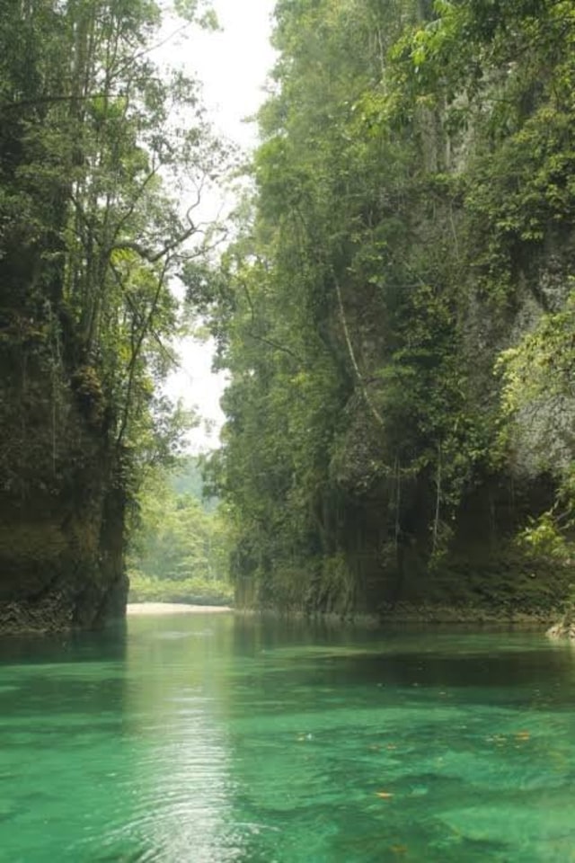 Wow, Goa Boki Moruru, Goa Tak Berujung yang Ada Di Indonesia | kumparan.com